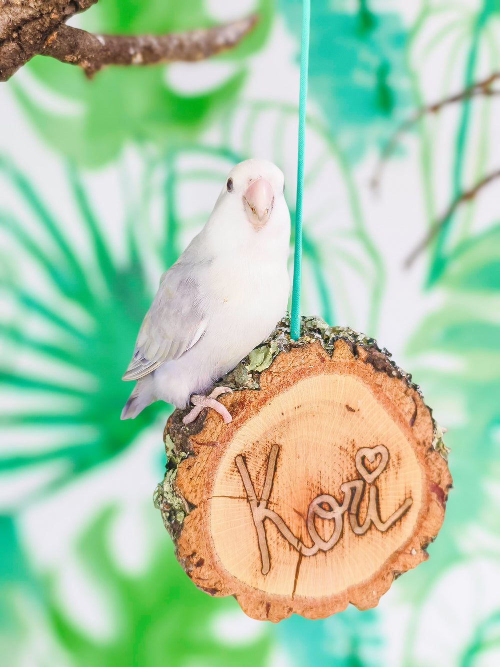 PERSONALIZED CORK DISC